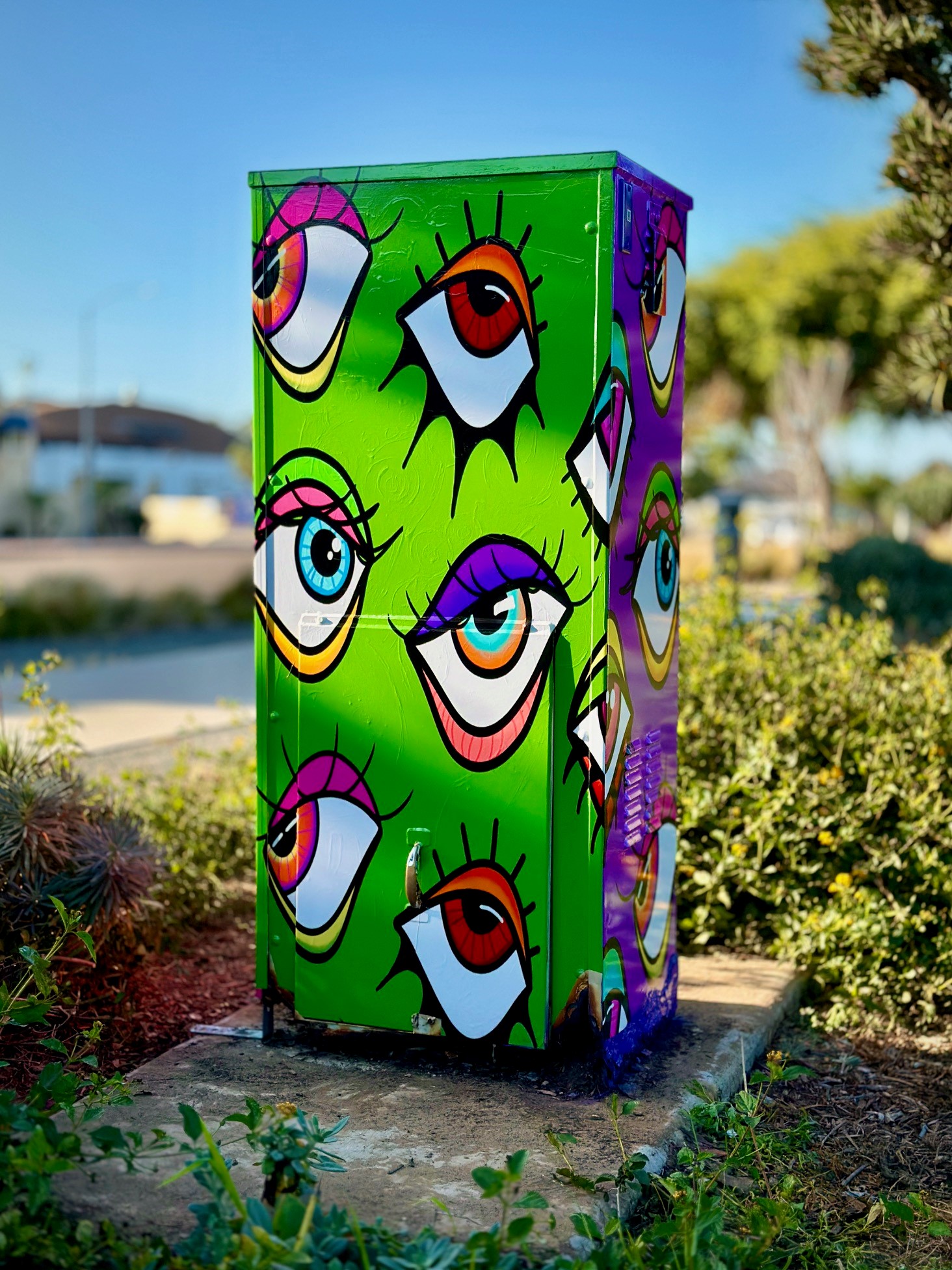 Utility Box Wrap Program | Solana Beach